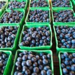 U-Pick Blueberry Farms Located By State | Find A Farm Here